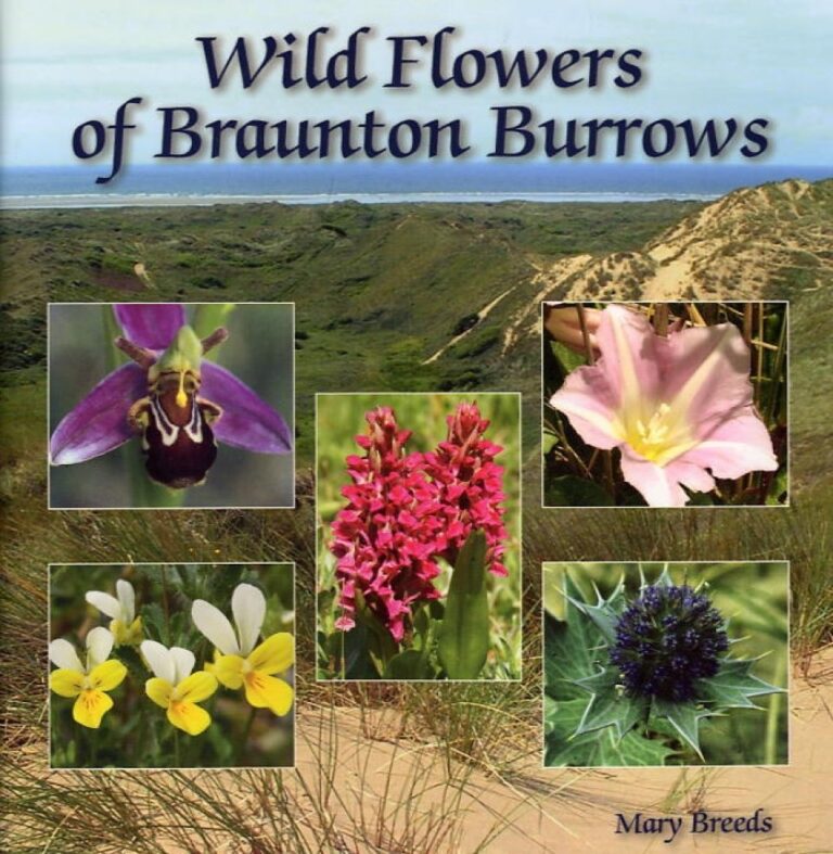 Our Village – Love Braunton